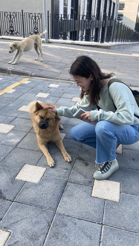 Dilay Aktürk - Müşteri Değerlendirmeleri, Fotoğrafları ve Videoları